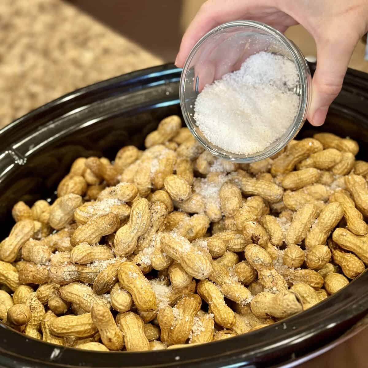 Crockpot Boiled Peanuts - Dinner in 321