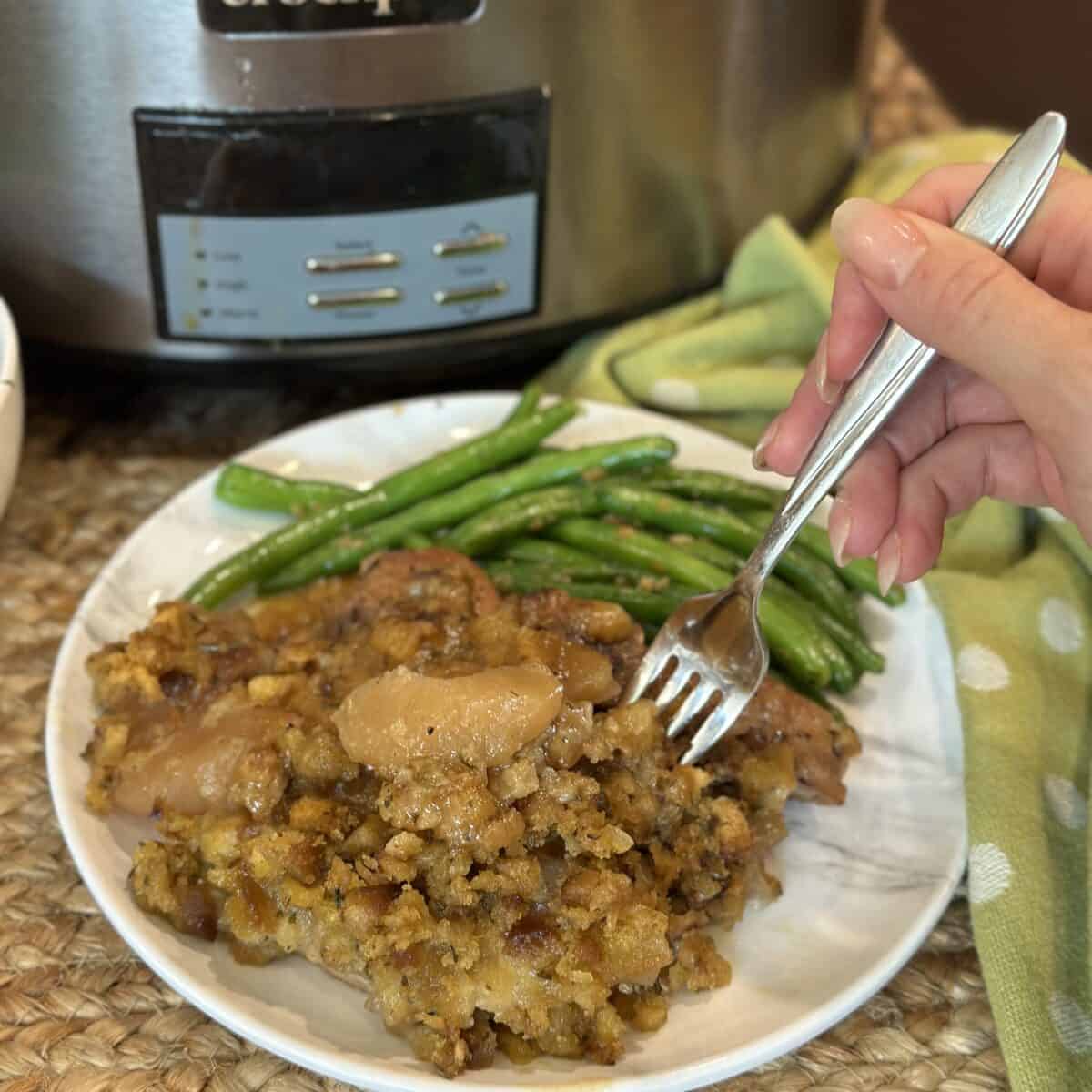 Slow Cooker Pork Chops with Apples - Dinner in 321
